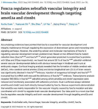 实验室发表多篇学术论文合集（2022年6月-12月）